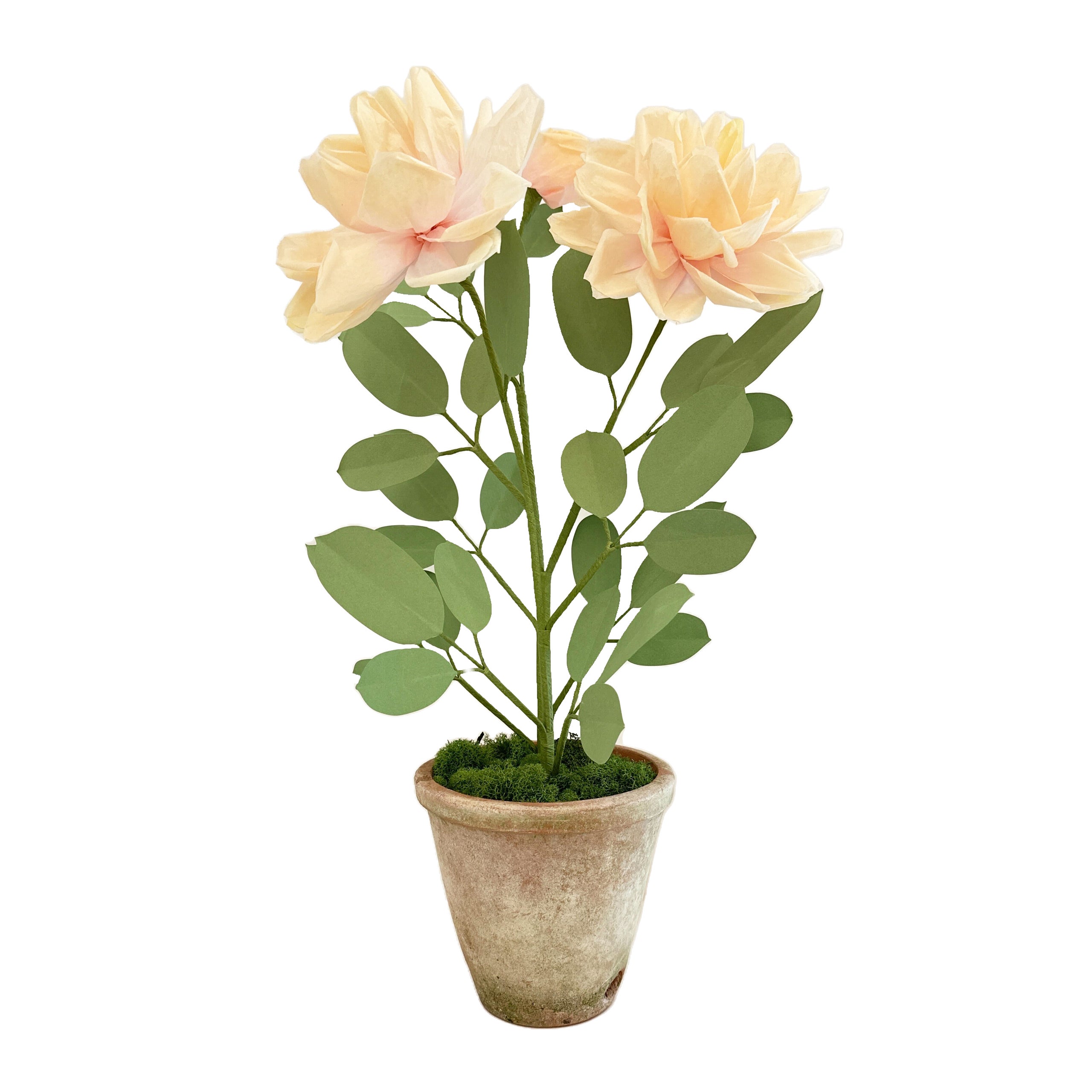 Handmade Paper Garden Rose Plant | Schumacher Boutique