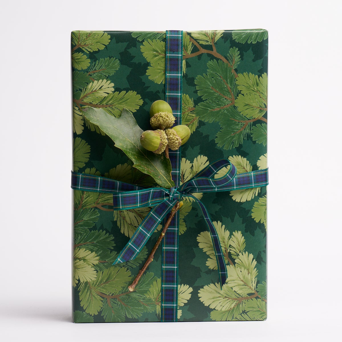 Covey Hedge Wrapping Paper | Schumacher Boutique